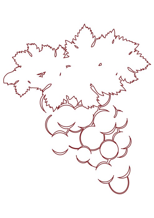 Canvas Uva stilizzata • Pixers® - We leven om te veranderen