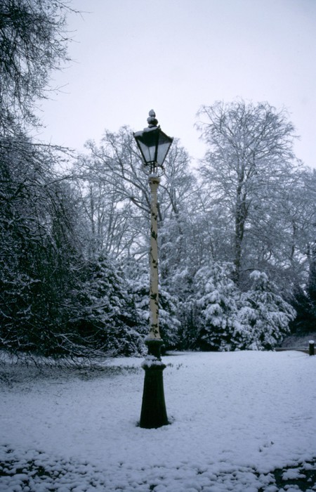 narnia Wall Mural • Pixers® • We live to change