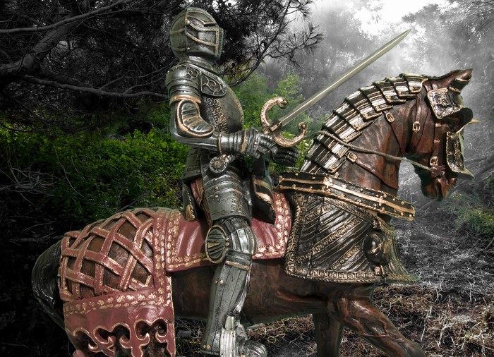 Fotobehang Ridder te paard • Pixers® - We leven om te veranderen