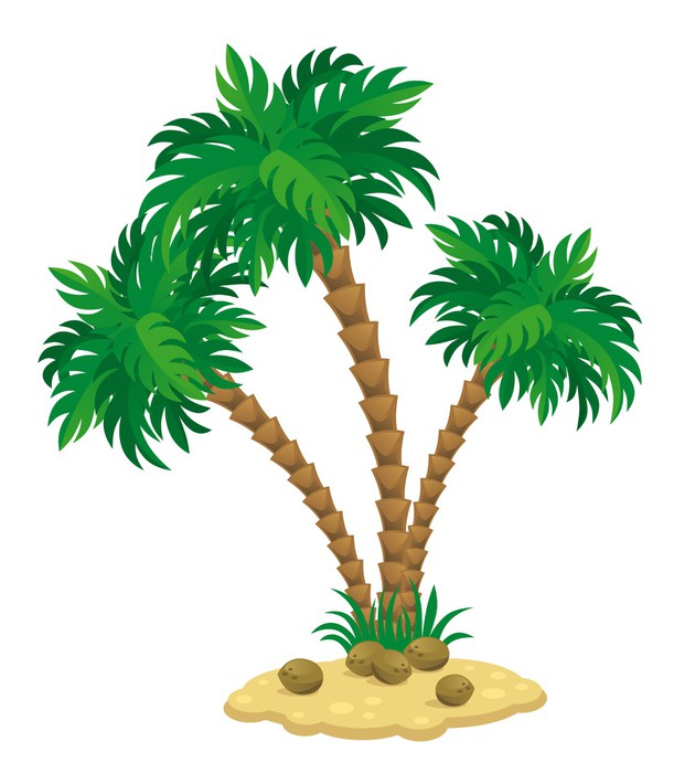 Cartoon Date Palm Tree