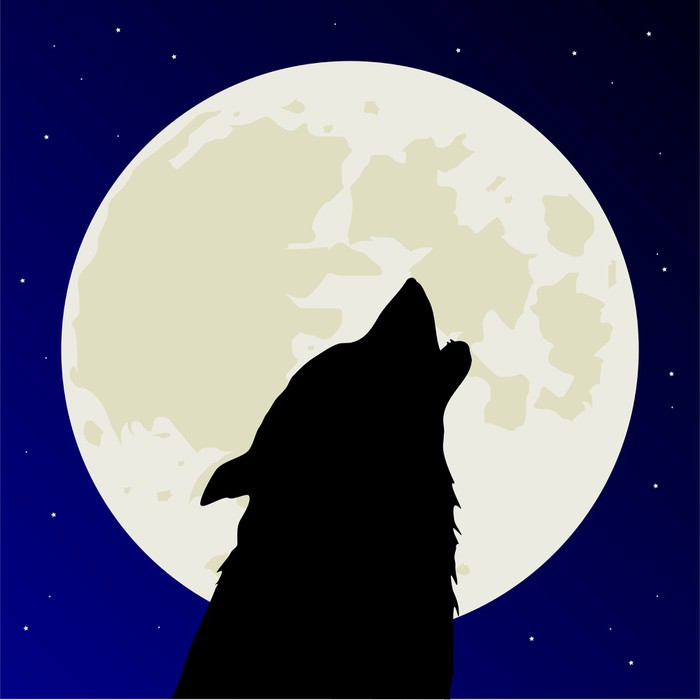 Quadro su Tela Werewolf o lupo ulula sulla luna piena • Pixers ...