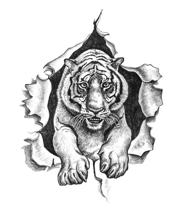 Tiger Pouncing Drawing