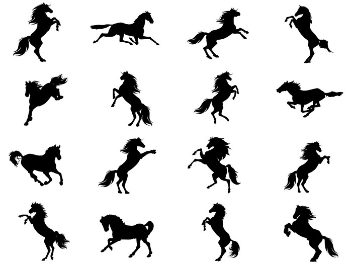 Carta da Parati Sagome di animali (cavalli Clipart) 16 • Pixers ...