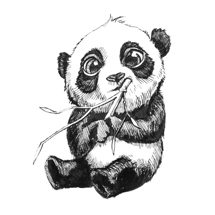 how to draw a baby panda